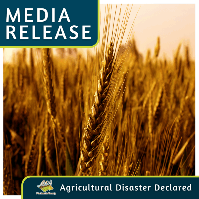 Media Release – Agriculture Disaster Declared – Mackenzie County